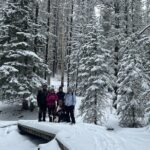5 hours Winter Wonderland Guided Hike to Fullerton Loop - The Experience from the Traveler’s Perspective