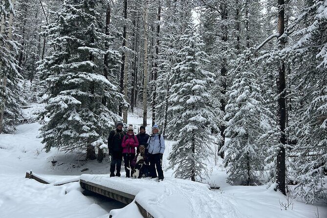 5 hours Winter Wonderland Guided Hike to Fullerton Loop - The Experience from the Traveler’s Perspective