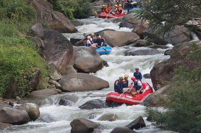 5 km White Water Rafting + ATV 1 Hour Tour From Phuket - What the Reviews Say