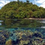 5D4N Puerto Princesa & Port Barton Tour Package - Transport, Logistics, and Value