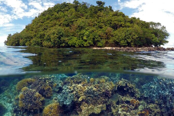 5D4N Puerto Princesa & Port Barton Tour Package - Transport, Logistics, and Value