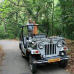 6-Day Kerala Private Tour: Periyar Wildlife Sanctuary - Practical Aspects and Value