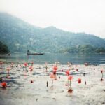 6-Day Off The Beaten Track Tour of North Vietnam from Hanoi - Who Will Love This Tour?