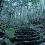 6 Day Private Ise and Kumano Tour - Itinerary Breakdown: What Makes Each Day Special