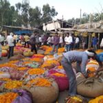 6-Day Private Tour of the Golden Triangle - A Practical Guide to the Golden Triangle Tour