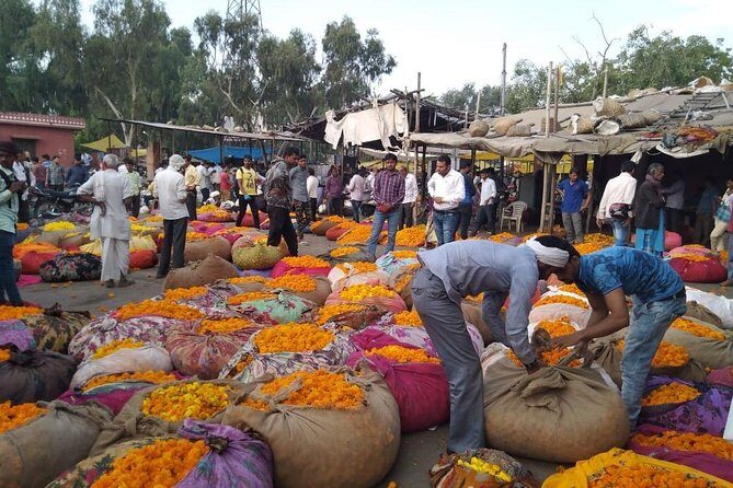 6-Day Private Tour of the Golden Triangle - A Practical Guide to the Golden Triangle Tour