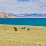 6-Day Small Group Lhasa City and Holy Lake Namtso Tour - Authenticity, Value, and Practical Tips