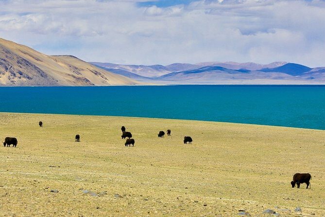 6-Day Small Group Lhasa City and Holy Lake Namtso Tour - Authenticity, Value, and Practical Tips