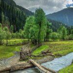 6 Days and 5 Nights Private Tour of Kashmir - Key Points