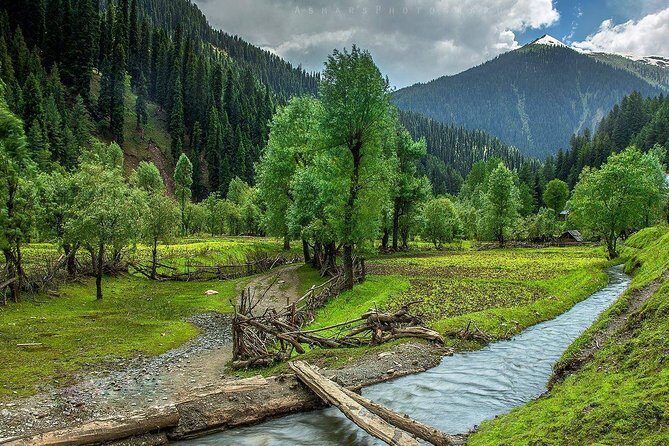 6 Days and 5 Nights Private Tour of Kashmir - Key Points