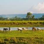 6 Days Chepang Village Homestay Hill Hike - Who Will Love This Tour?