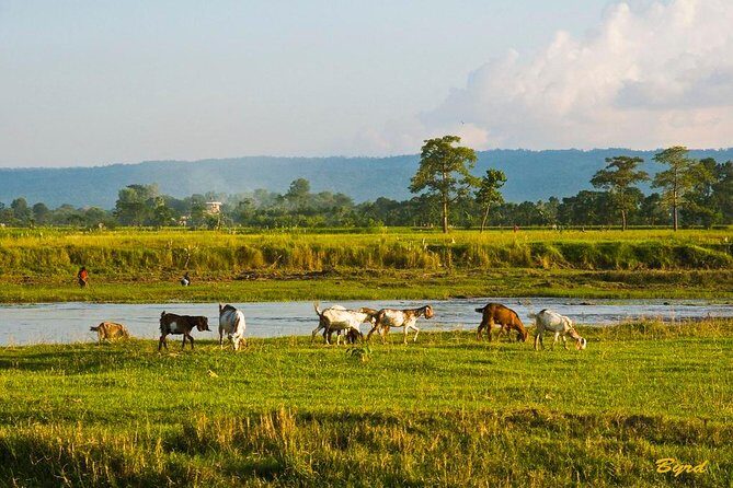 6 Days Chepang Village Homestay Hill Hike - Who Will Love This Tour?