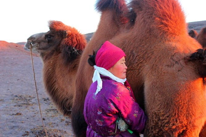 6 Days Color of Gobi Desert - Who Will Love This Tour?