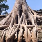 6 Days | Explore the Heart of Cambodia - An In-Depth Look at the Itinerary