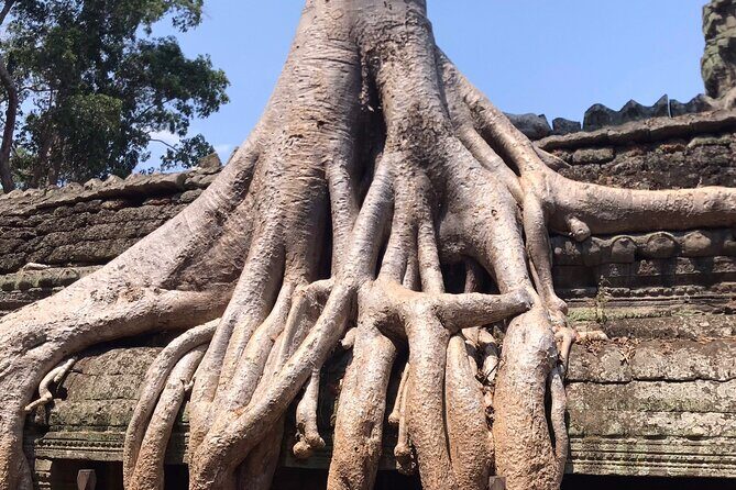 6 Days | Explore the Heart of Cambodia - An In-Depth Look at the Itinerary