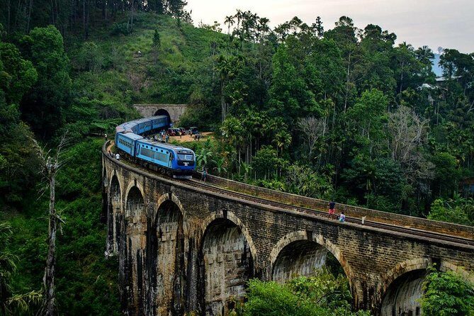 6 Days Nature And Culture Tour - What Travelers Say