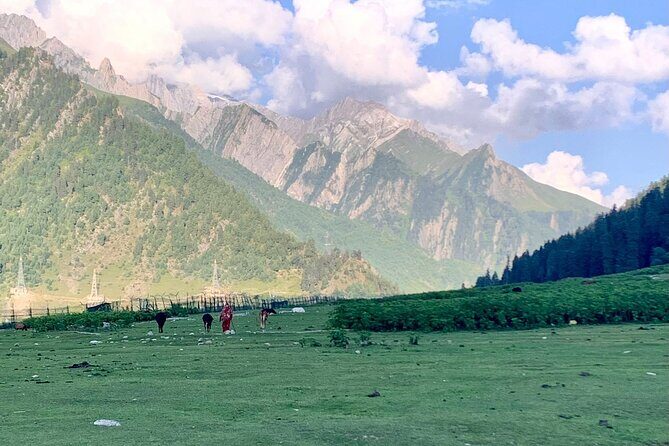 6 Days Private Guided Tour from Kashmir to Delhi - Who Will Love This Tour?