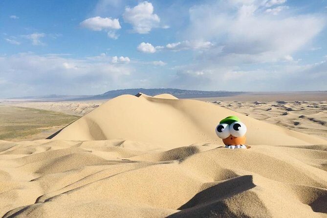 6 Days Private Tour in Gobi Desert - Day 4: Bayanzag Saxual Forest and Dinosaur Fossils