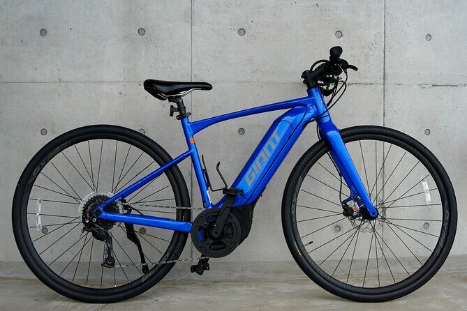 6 Hour Private E bike Tour on Omishima - The Value of the Experience