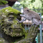 6 Hour Private Tour in Ubud - Final Thoughts: Who Will Love This Tour?