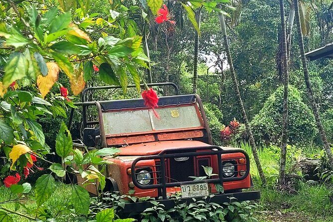 6 Hrs Off Road 4x4 Adventure of Hidden Gems In Koh Samui Hills 1 - 4 persons - The Itinerary in Detail