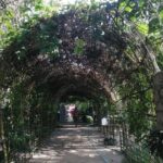 6 Hrs Off Road 4x4 Adventure of Hidden Gems In Koh Samui Hills 5 - 8 Persons - Why You’ll Love This Off-Road Adventure