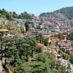 6-Night Private Himachal Pradesh Tour from New Delhi - Why This Tour Offers Good Value