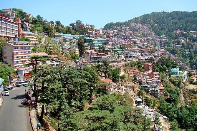 6-Night Private Himachal Pradesh Tour from New Delhi - Why This Tour Offers Good Value