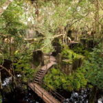 6Days 5Nighs Siem Reap Highlight(PREP5P) - Who Is This Tour Best For?