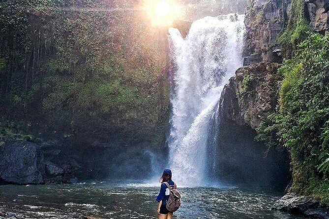 6h Private Tour in Ubud: Rice Terrace Swing, Temple, Waterfall - Why This Tour Offers Good Value