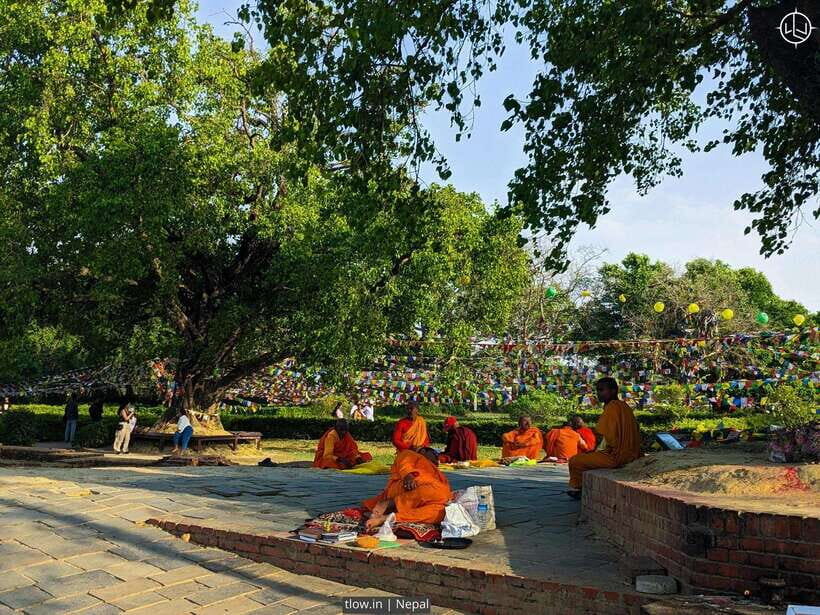 7-Day Buddhist Meditation Retreat in Lumbini - The Location and Its Significance