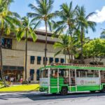 7 Day Pass LeaLea Trolley and Waikiki Trolley Pink Line - Who Is This Tour Best For?