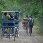 7-Day Private Golden Triangle Tour - Forts Palaces and Wildlife Sanctuary - En route to Bharatpur: Fatehpur Sikri’s ghost town