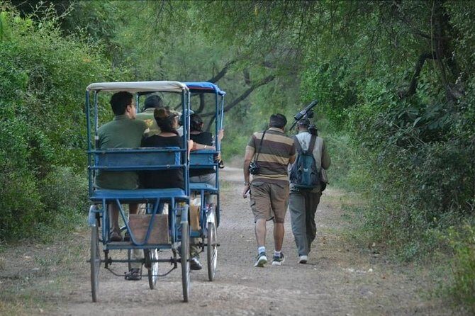 7-Day Private Golden Triangle Tour - Forts Palaces and Wildlife Sanctuary - En route to Bharatpur: Fatehpur Sikri’s ghost town