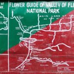 7 Day Tour to Valley of Flowers and Auli Hiking Adventure - Hemkund Sahib: High-Altitude Spiritual and Natural Wonder