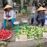 7-Day Vietnam Private Tour to Hanoi, Ho Chi Minh City, and Cruise on Halong Bay - Practical Details and Tips