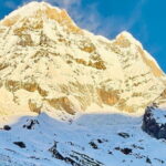 7 Days ABC Trek with Chitwan Safari Tour - The Value and Overall Experience