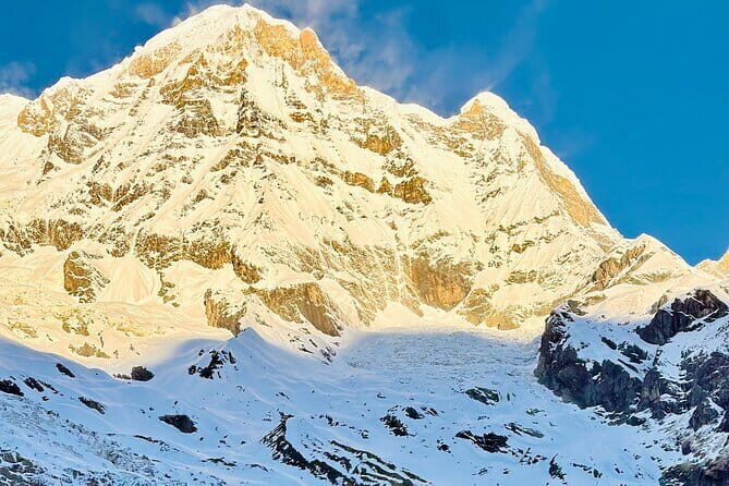 7 Days ABC Trek with Chitwan Safari Tour - The Value and Overall Experience