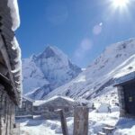 7 Days Annapurna Base Camp Trek from Pokhara with Hot Spring - Authentic Experiences and Traveler Feedback