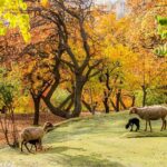 7-Days Autumn Tour to Hunza Valley - The Experience You Get