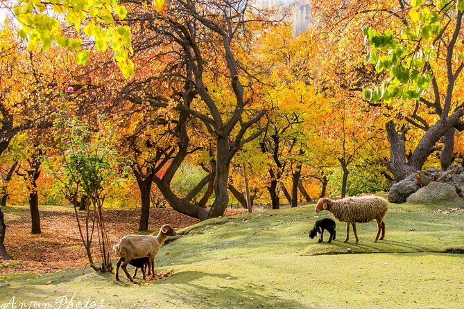 7-Days Autumn Tour to Hunza Valley - The Experience You Get