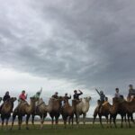 7 days Central Mongolia and Great Gobi - A Closer Look at the Itinerary