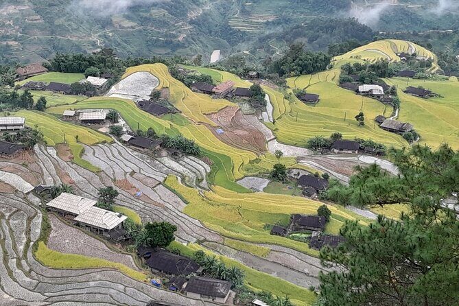 7 Days Dong Van Ha Giang Private Loop Tour with Wellness Programs - The Experience: What Youll Actually Feel