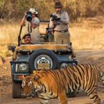 7 Days Golden Triangle Tour & Ranthambore Tiger Safari - Who Is This Tour Best For?