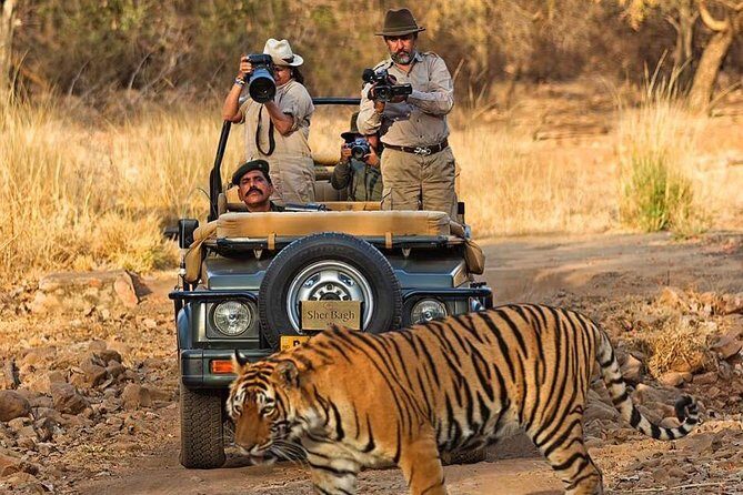 7 Days Golden Triangle Tour & Ranthambore Tiger Safari - Who Is This Tour Best For?