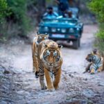 7 Days Golden Triangle Tour with Ranthambore & Varanasi Tour - The Itinerary Breakdown