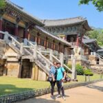 7 Days Highlight Korea Tour(Seoul, Nami, DMZ, Andong, Gyeongju, Busan) - Who Would Love This Tour?