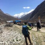 7 Days Langtang Valley Trek from Kathmandu Nepal - Breakdown of the Day-by-Day Experience