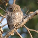 7 - Days Private Golden Triangle Tour with Bird Sanctuary - The Sum Up