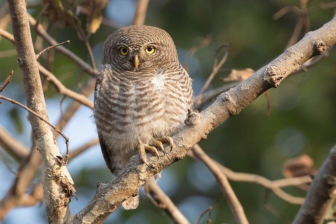 7 - Days Private Golden Triangle Tour with Bird Sanctuary - The Sum Up